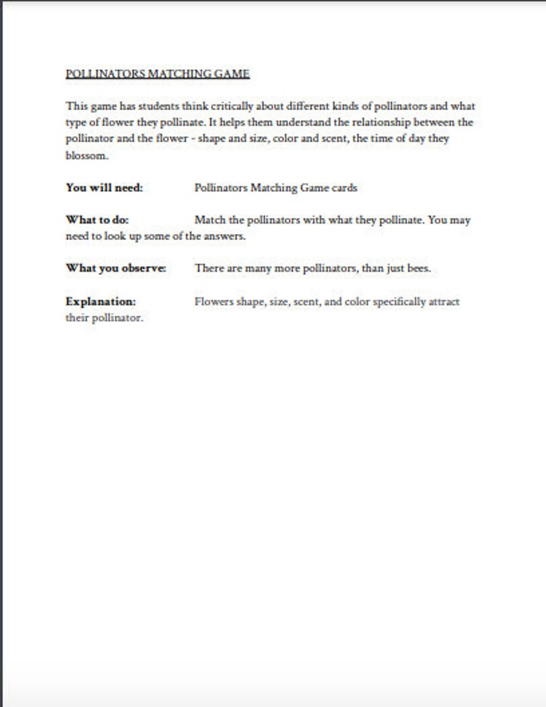 Montessori Pollinators Matching Game - Etsy