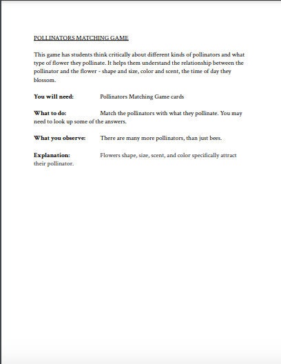 Montessori Pollinators Matching Game - Etsy