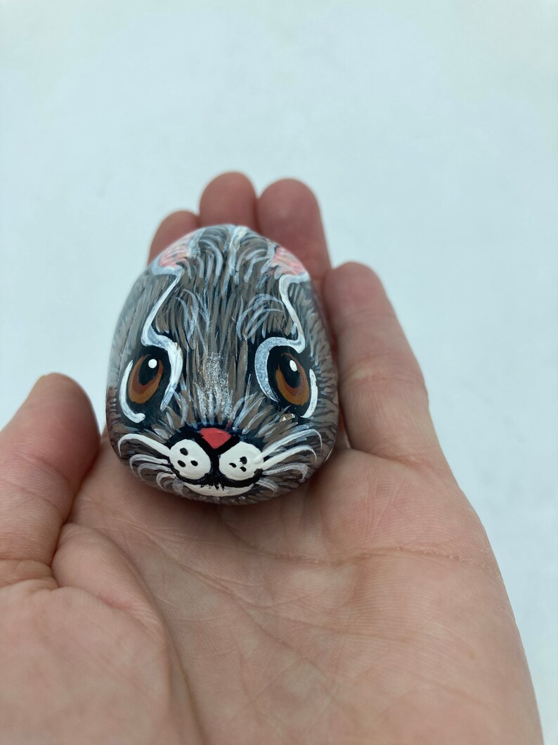 Painted Bunny Rock Rabbit Stone - Etsy