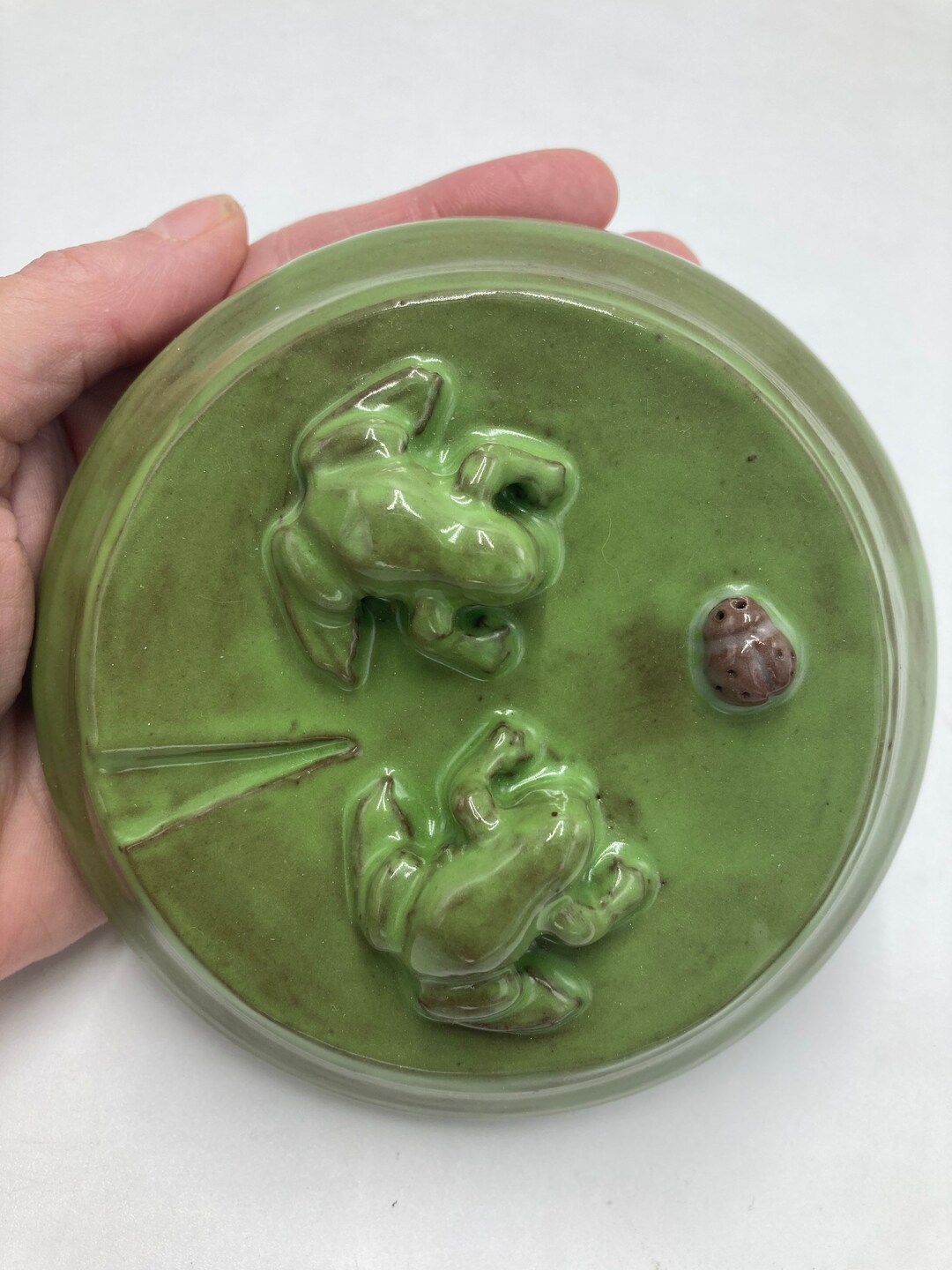 Frog Container Frog Buddies With Ladybug - Etsy