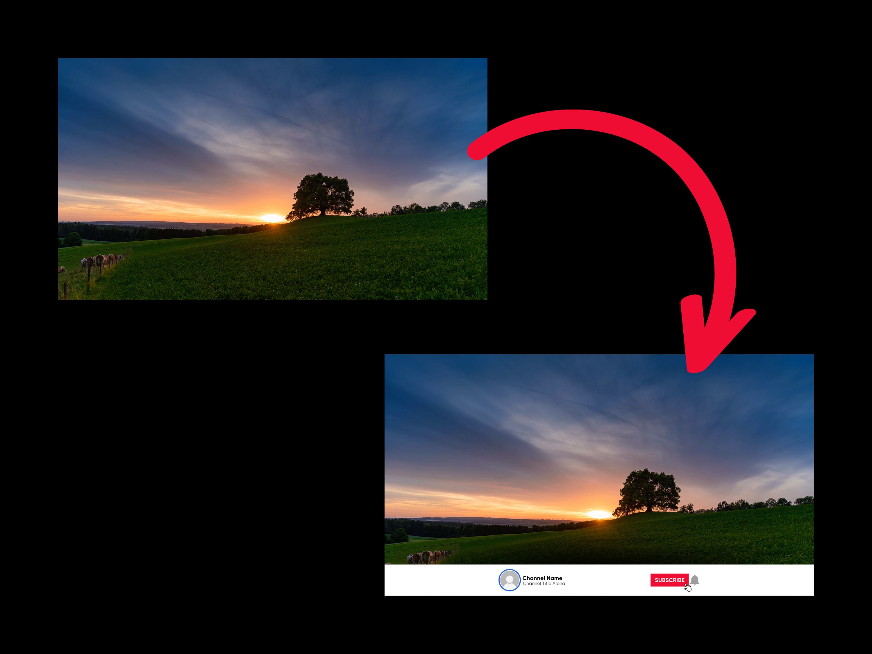 Youtube Subscribe Button Animation Youtube Subscribe Phrase - Etsy
