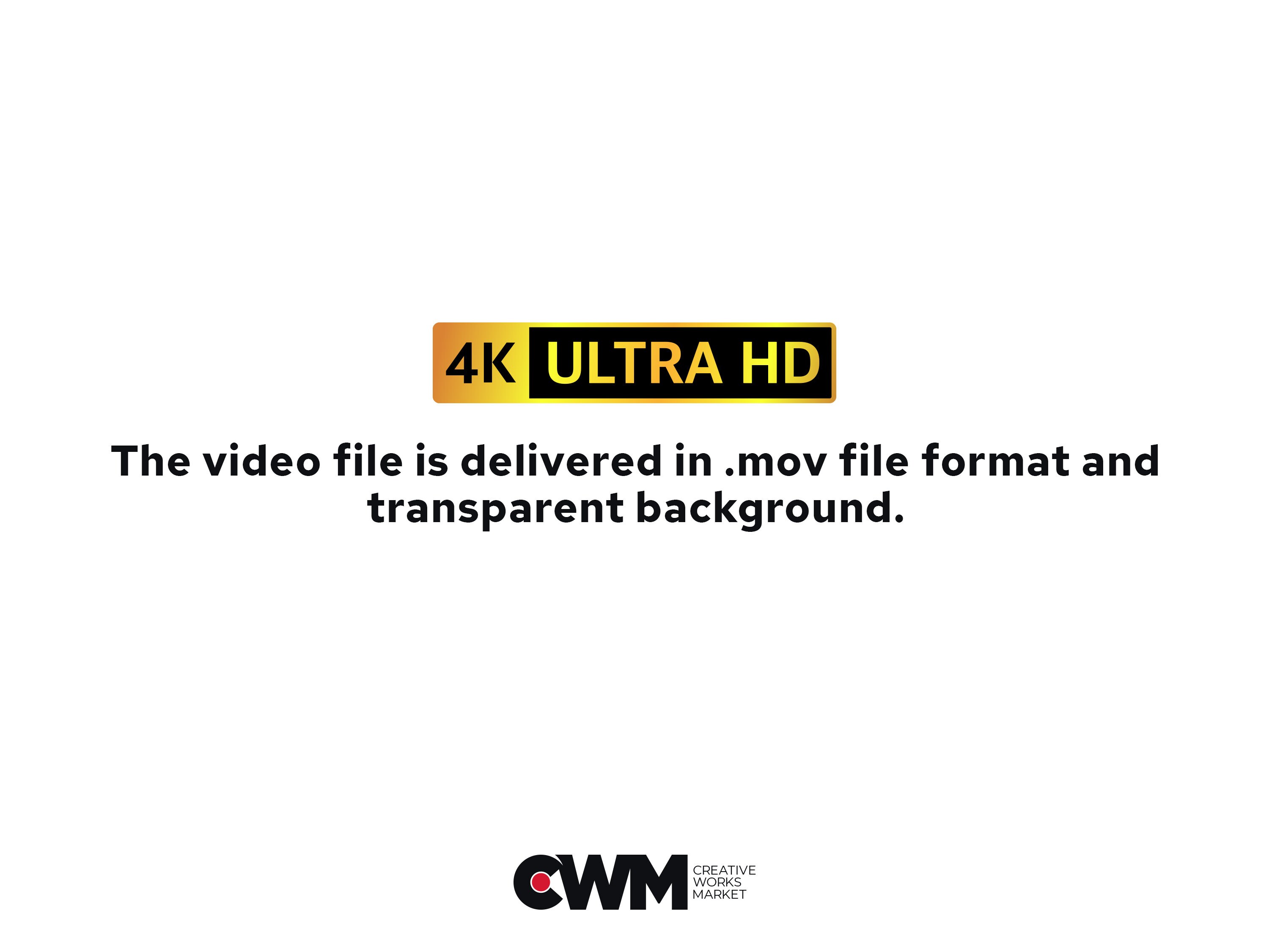 Animated Youtube Subscribe Button Overlay Personalized Lower Area ...