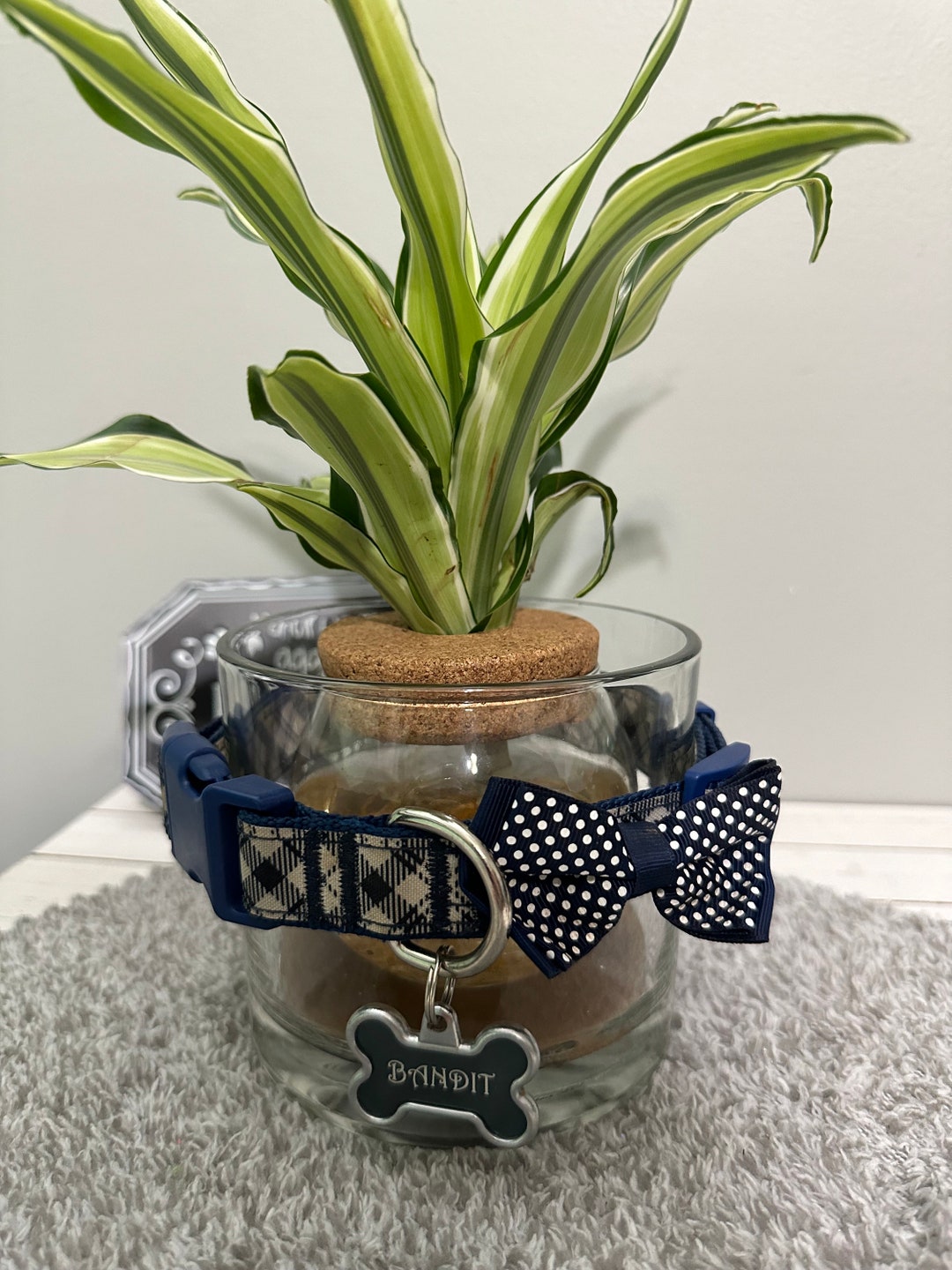 Pet Memorial Terrarium Ashes, Customizable, Air Plant, Dog Tags ...