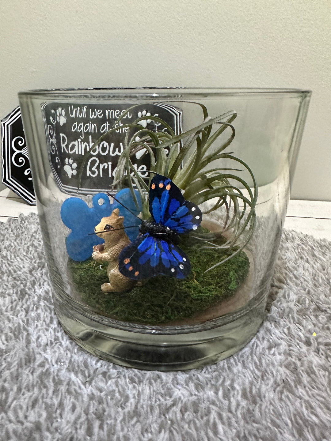 Pet Memorial Terrarium Ashes, Customizable, Air Plant, Dog Tags ...
