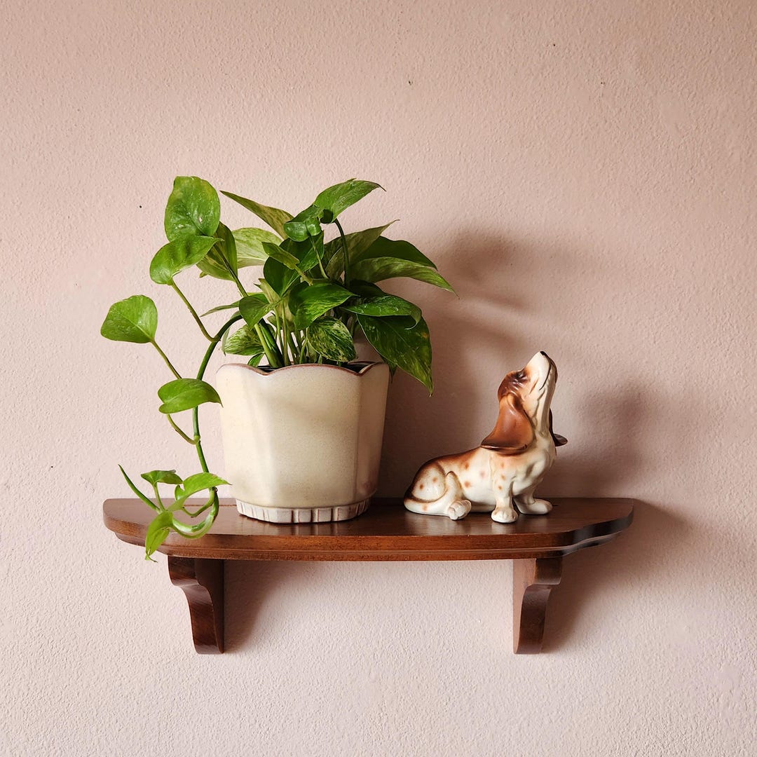 Vintage Curved Oak Wood Wall Shelf, Decorative Medium-dark Stain ...
