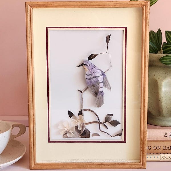 Bird Feather Shadow Box - Etsy