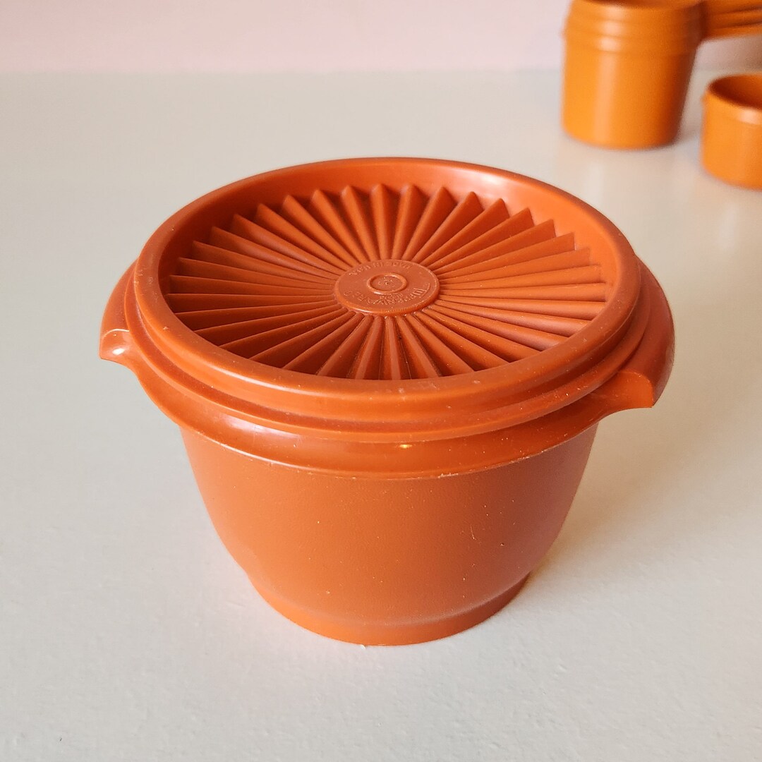 Retro Orange Tupperware Container, Vintage Food Storage, Small - Etsy