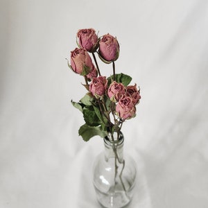 Dried Spray Rose Bunch, Natural Colors, Dried Flowers for Crafting ...