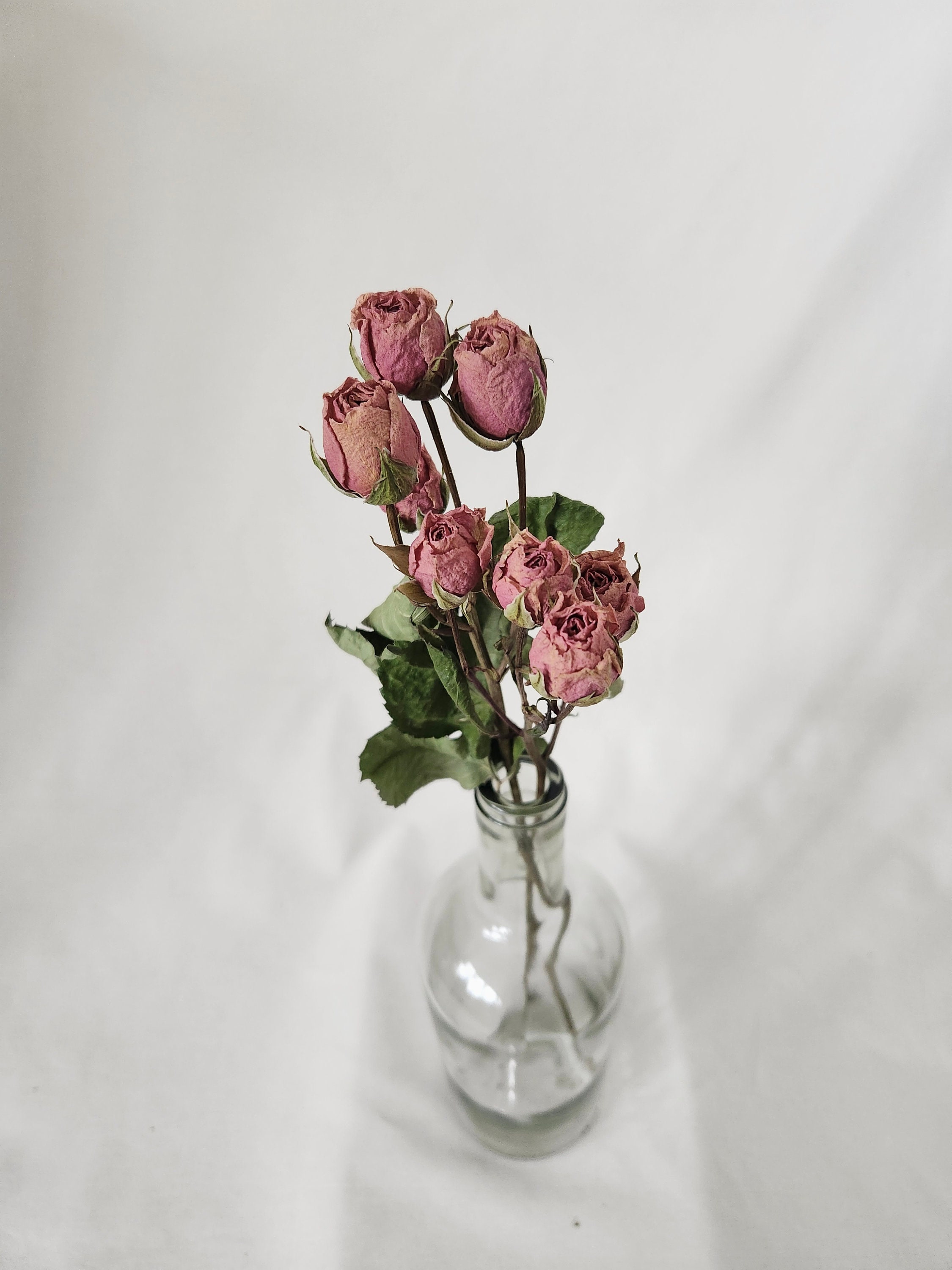 Dried Spray Rose Bunch Natural Colors Dried Rose Bouquet - Etsy