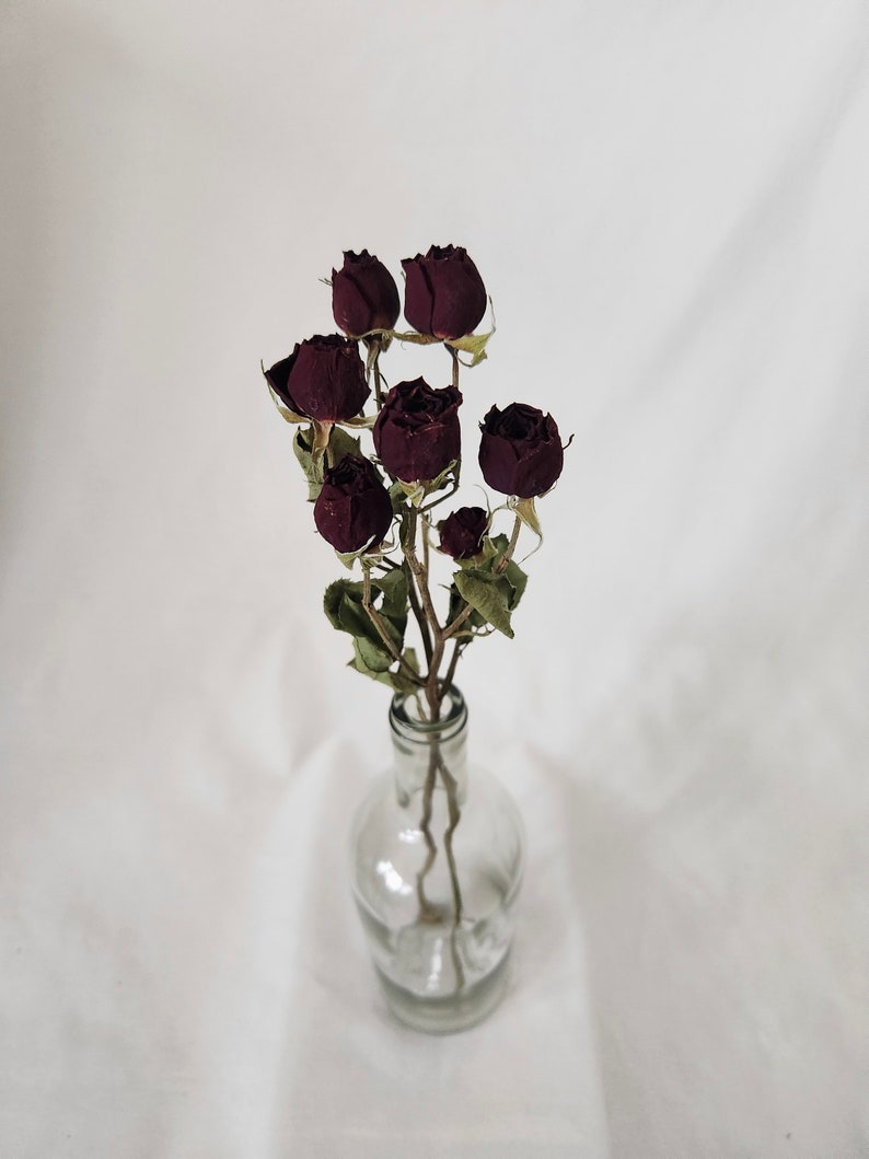 Dried Spray Rose Bunch Natural Colors Dried Rose Bouquet - Etsy