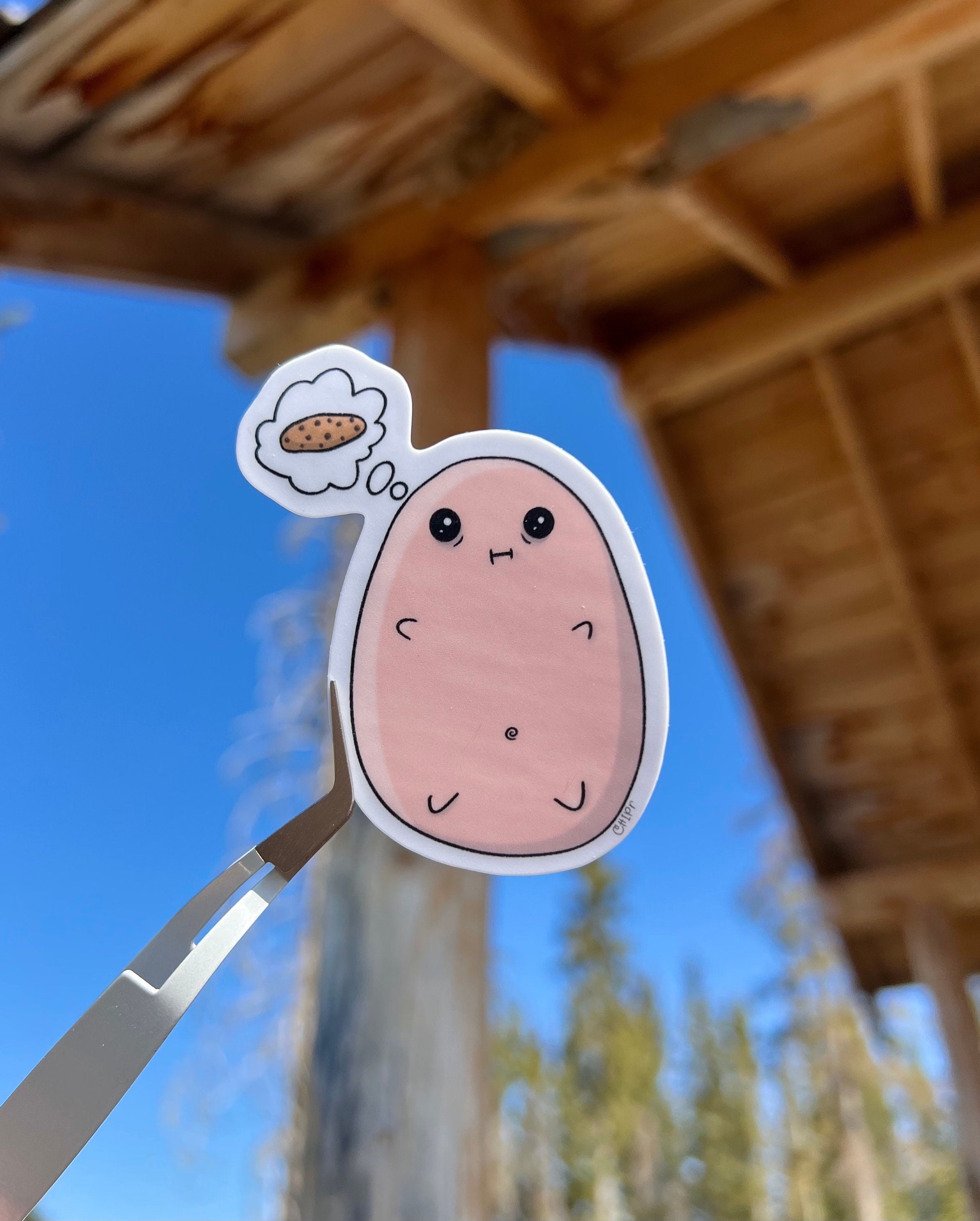 Lil Bean Vinyl Sticker – Cute Kawaii Food Stickers for Laptop, Phone ...