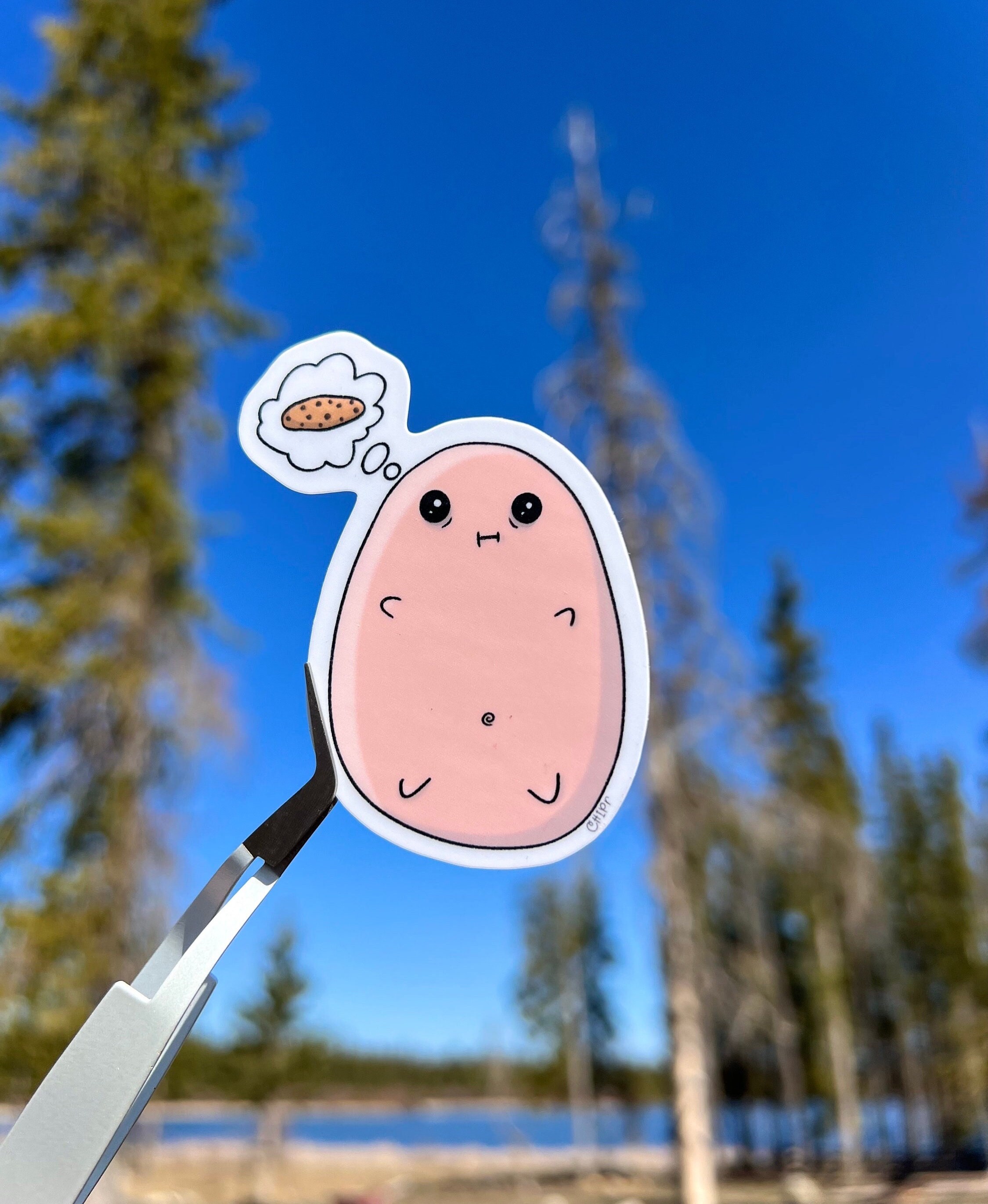 Lil Bean Vinyl Sticker – Cute Kawaii Food Stickers for Laptop, Phone ...