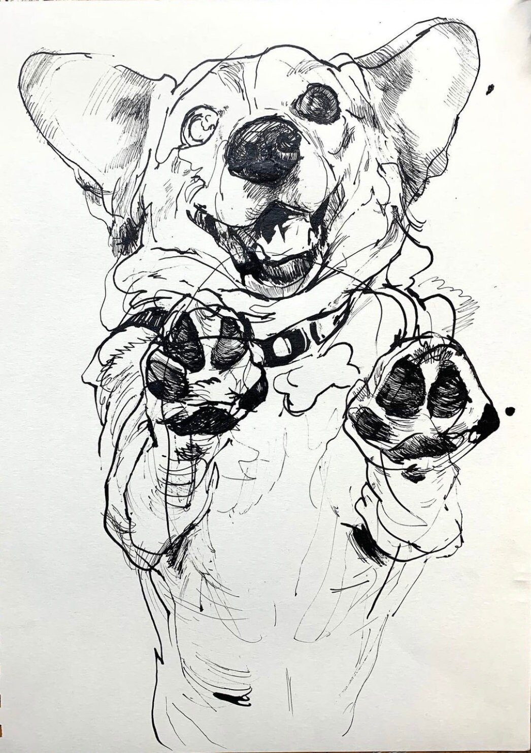 Pet Portrait Drawing - Etsy