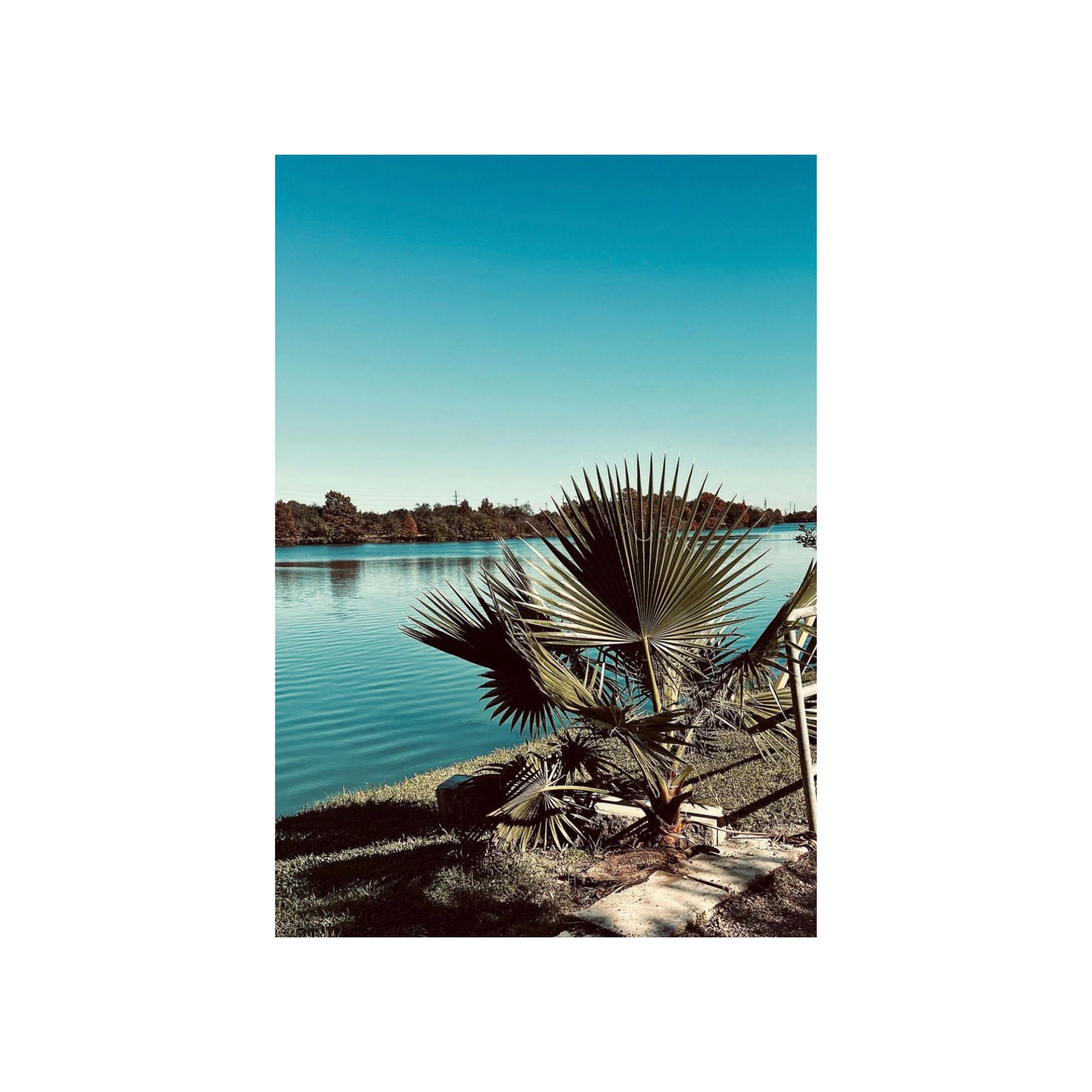 Ladybird Lake - Etsy