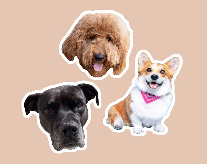 Custom Pet Stickers, Custom Dog Sticker, Custom Cat Sticker, Water ...