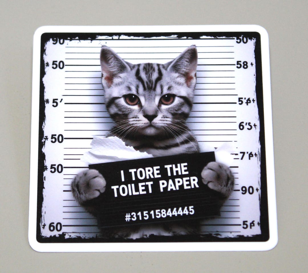 Bad Kitty Mugshot Sticker: Funny Cat, Glossy, Waterproof - Etsy