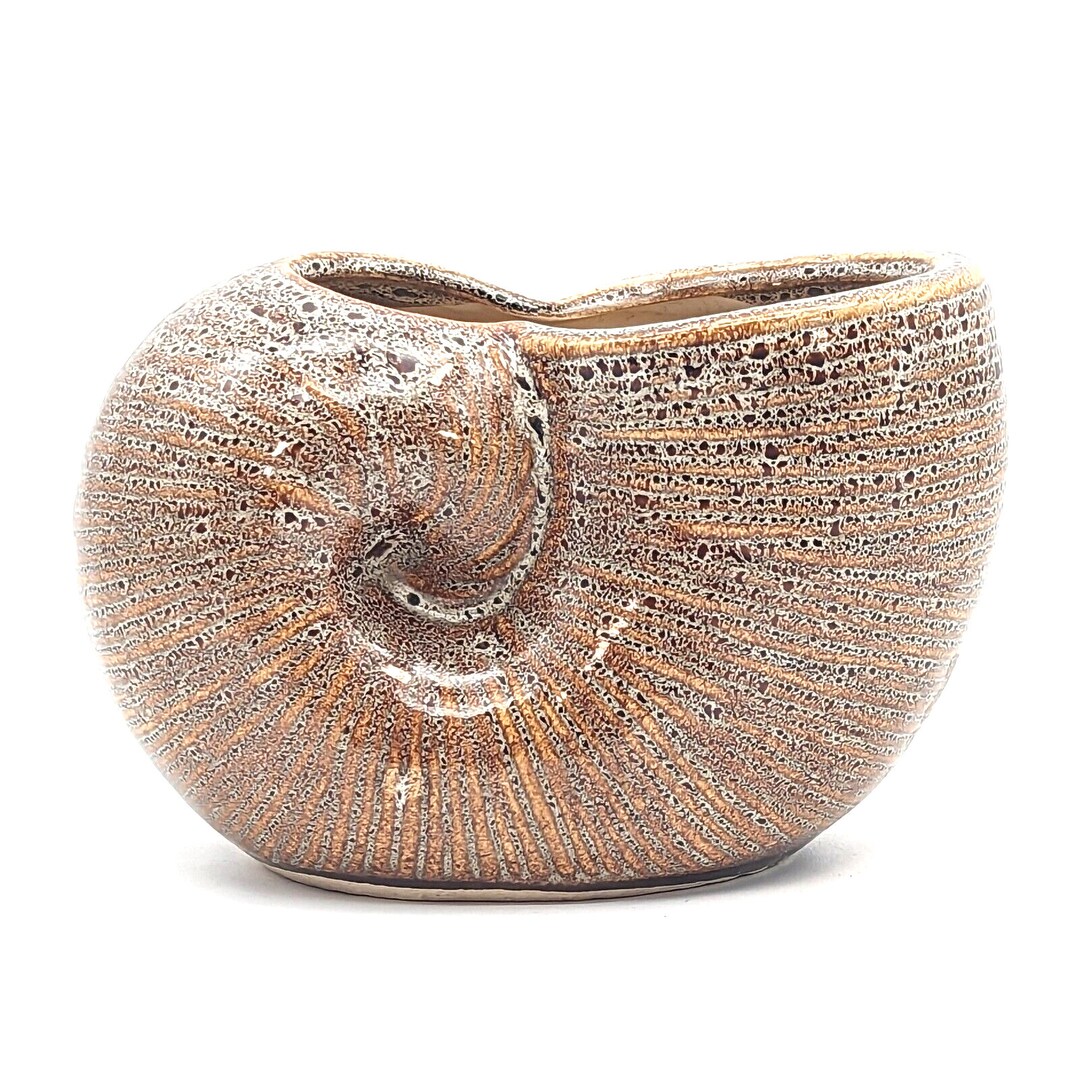 Mid Century Studio Pottery Nautilus Shell Planter - Etsy