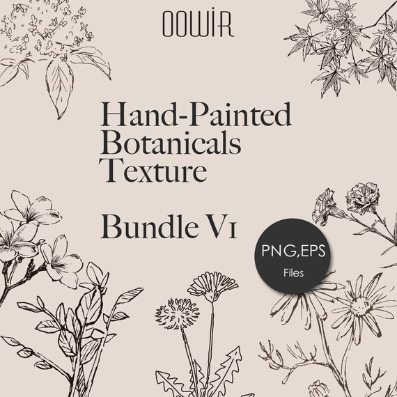 Botanical Texture Bundles V1 Hand Painted Illustration - Etsy