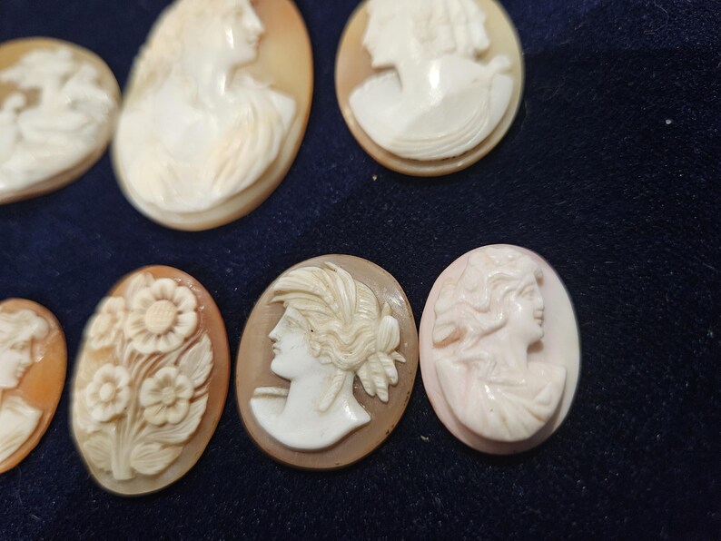Loose Natural Shell Cameos, Lady and Dog ,roman God , Greek God ...