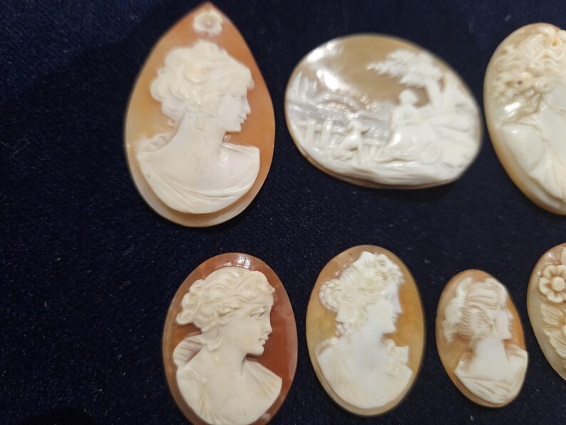 Loose Natural Shell Cameos, Lady and Dog ,roman God , Greek God ...