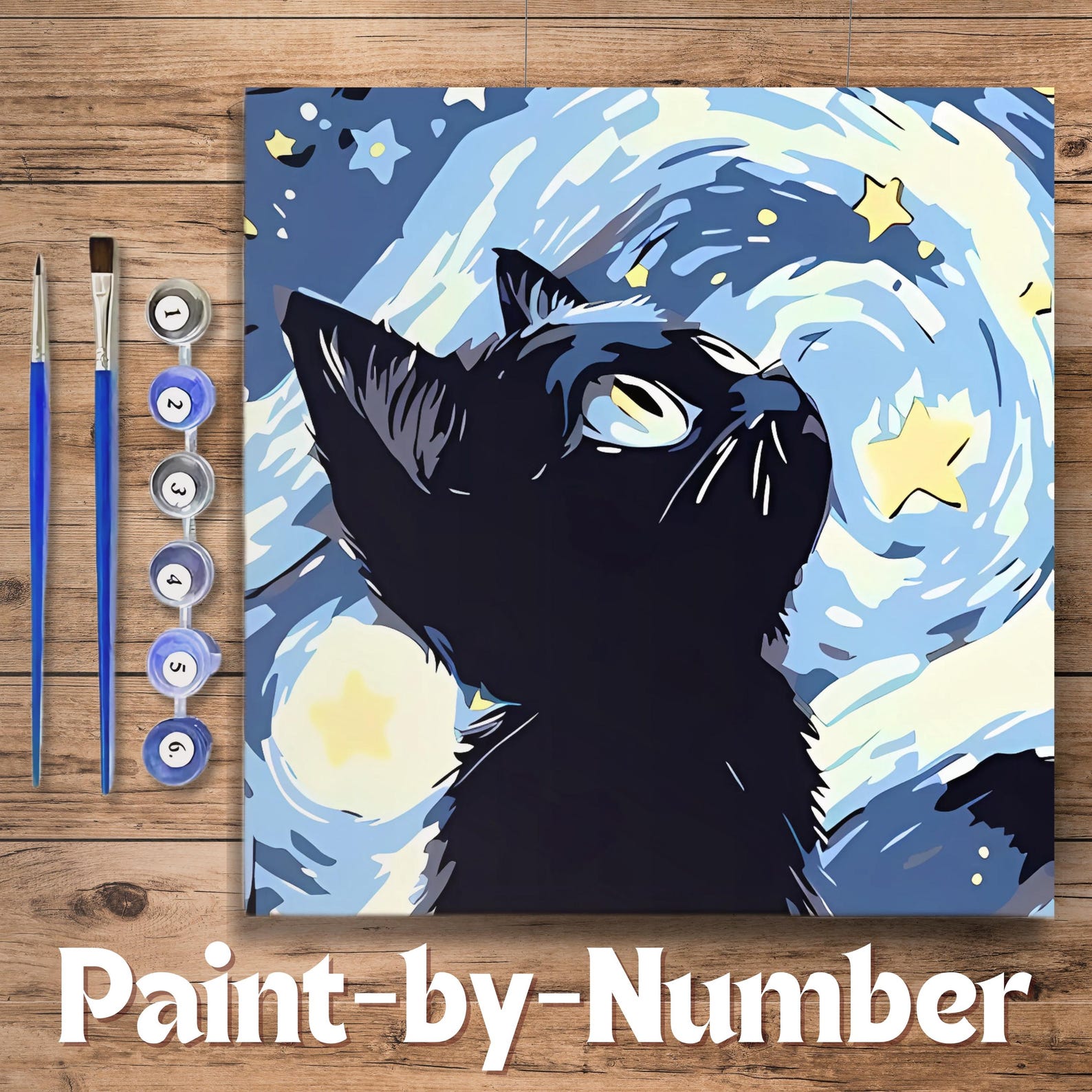 Black Cat Paint by Number Kit for Adults, Starry Night DIY Paint by ...