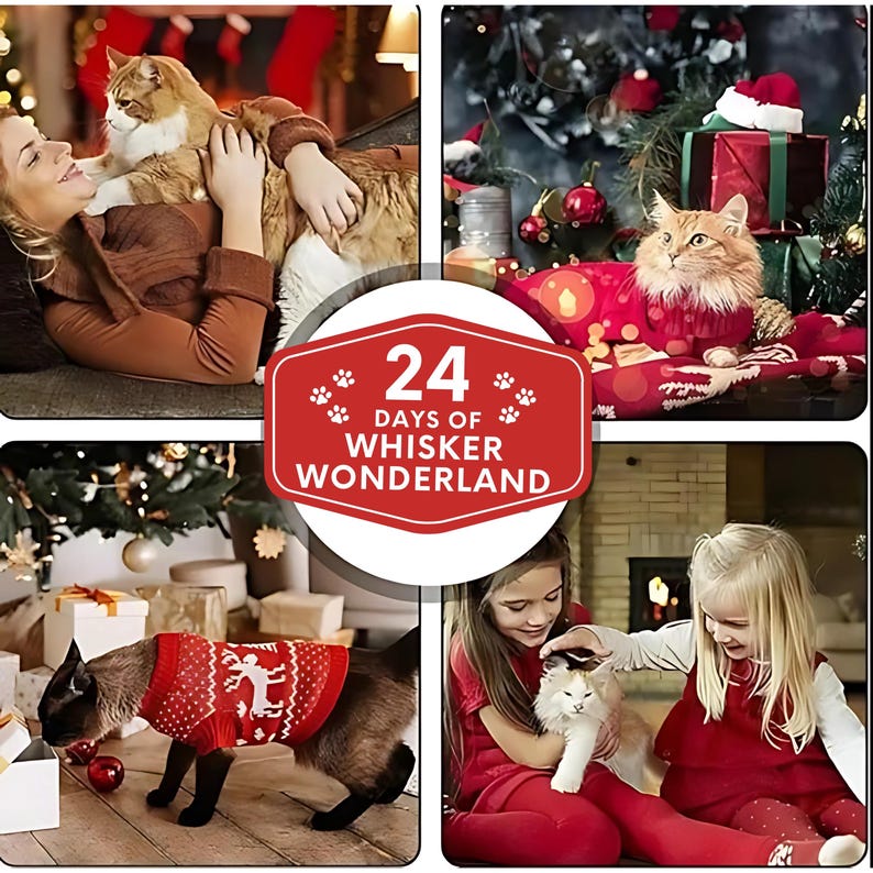 Cat Advent Calendar 2025, 24 Cat Toy Christmas Countdown, Whisker ...