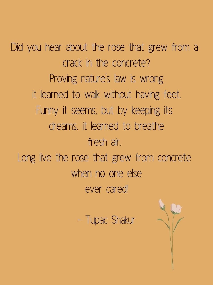 Rose That Grew From Concrete Poster - Etsy