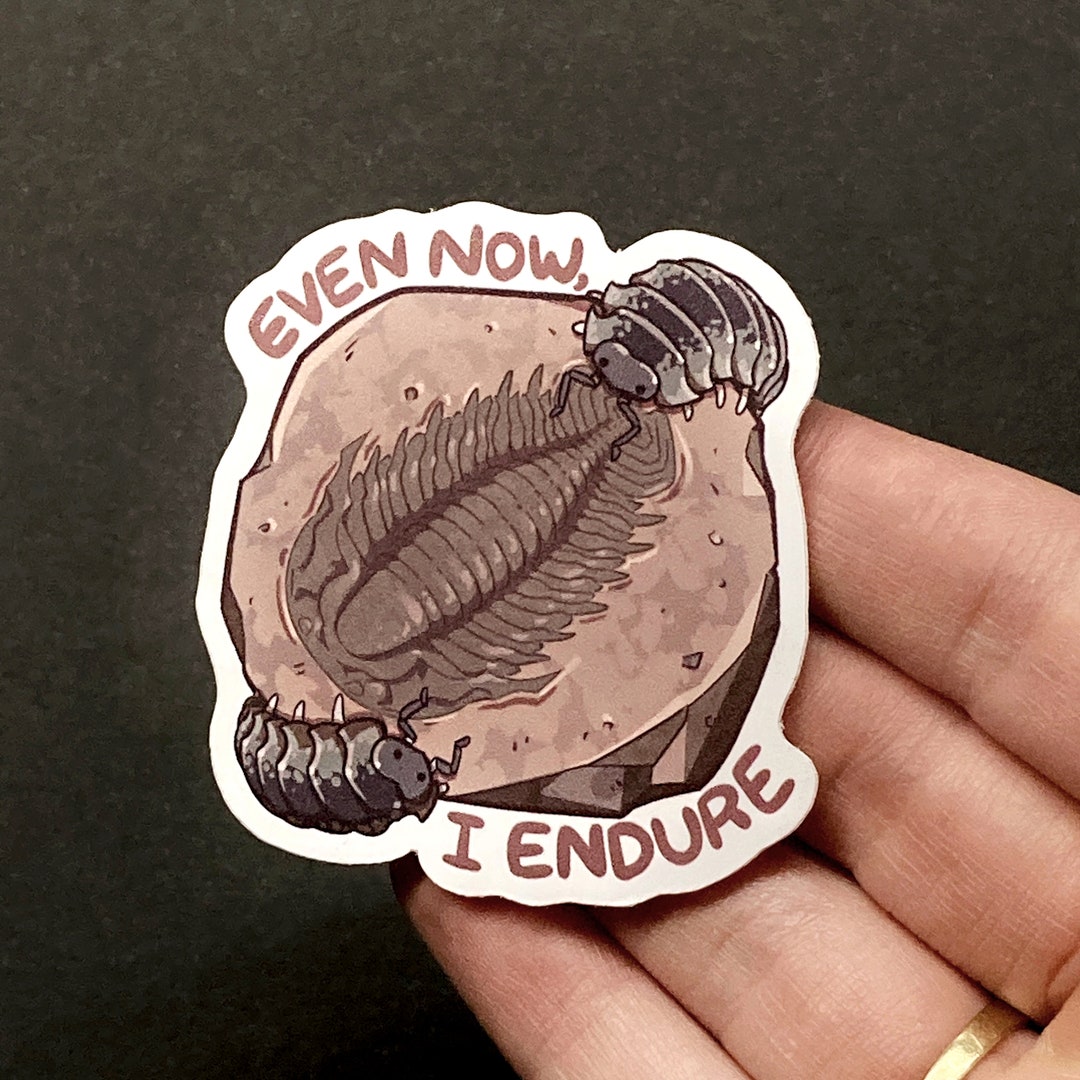 Woodlouse Sticker, Pillbug Vibes, Fossil Sticker, Isopod Sticker for ...