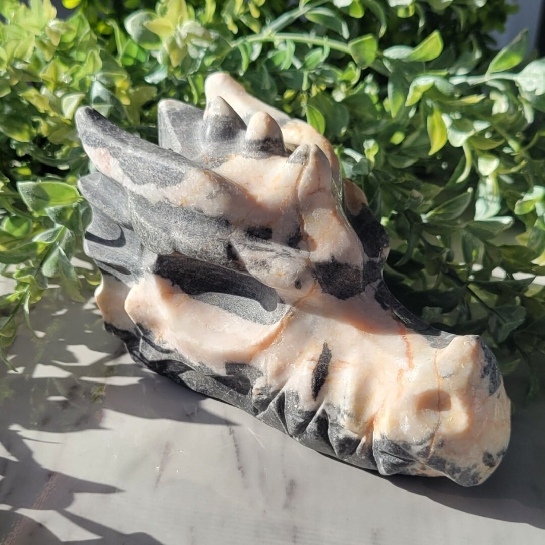 Pink Zebra Dragon Head - Etsy