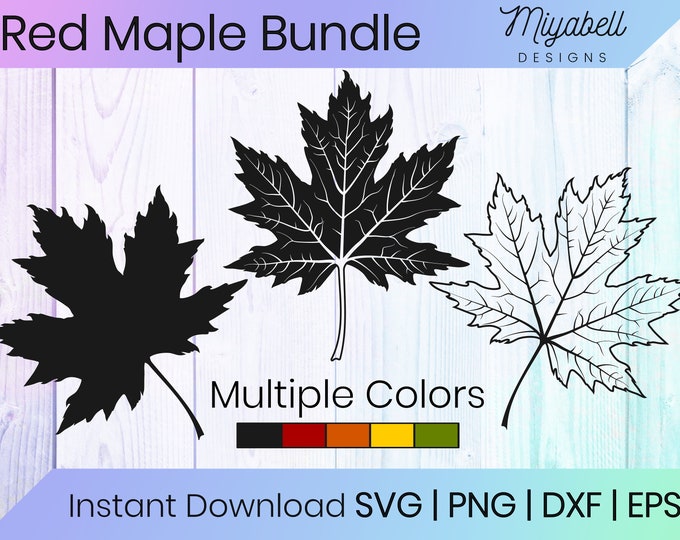 Maple Leaf Autumn Fall Canada Symbol Red Maple Tree Nature Foliage ...