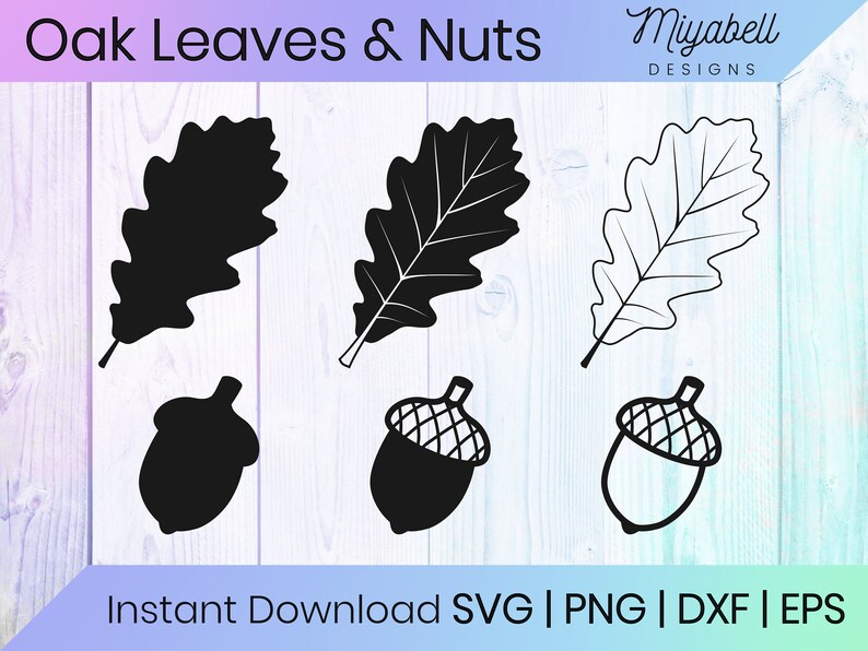 Oak Bundle, Leaf, Nut, Acorn Svg, Png, Eps, Dxf Format, Instant ...