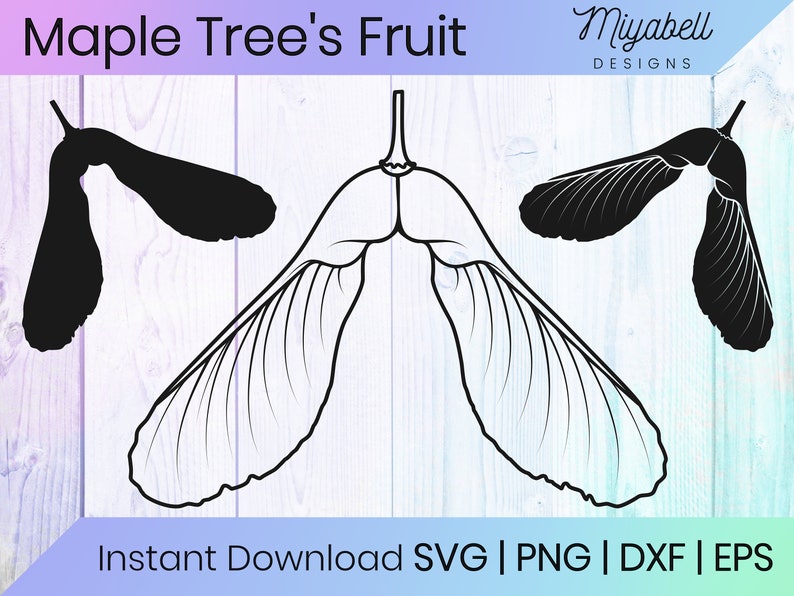 Maple Fruit SVG, Maple Helicopter SVG, Maple Key Svg, Png, Eps, Dxf ...