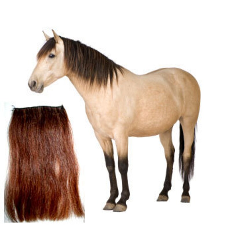 Rocking Horse Mane Made With Real Horse Hair 14 Inch 33 Cm Long 8 Inch ...