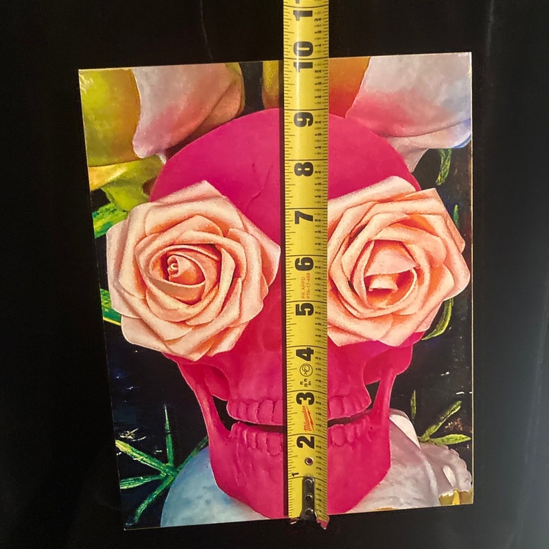 Eugene J. Parker “goodbye, Earth & Heaven Skulls” Photo Panel 8x10x1 3/ ...