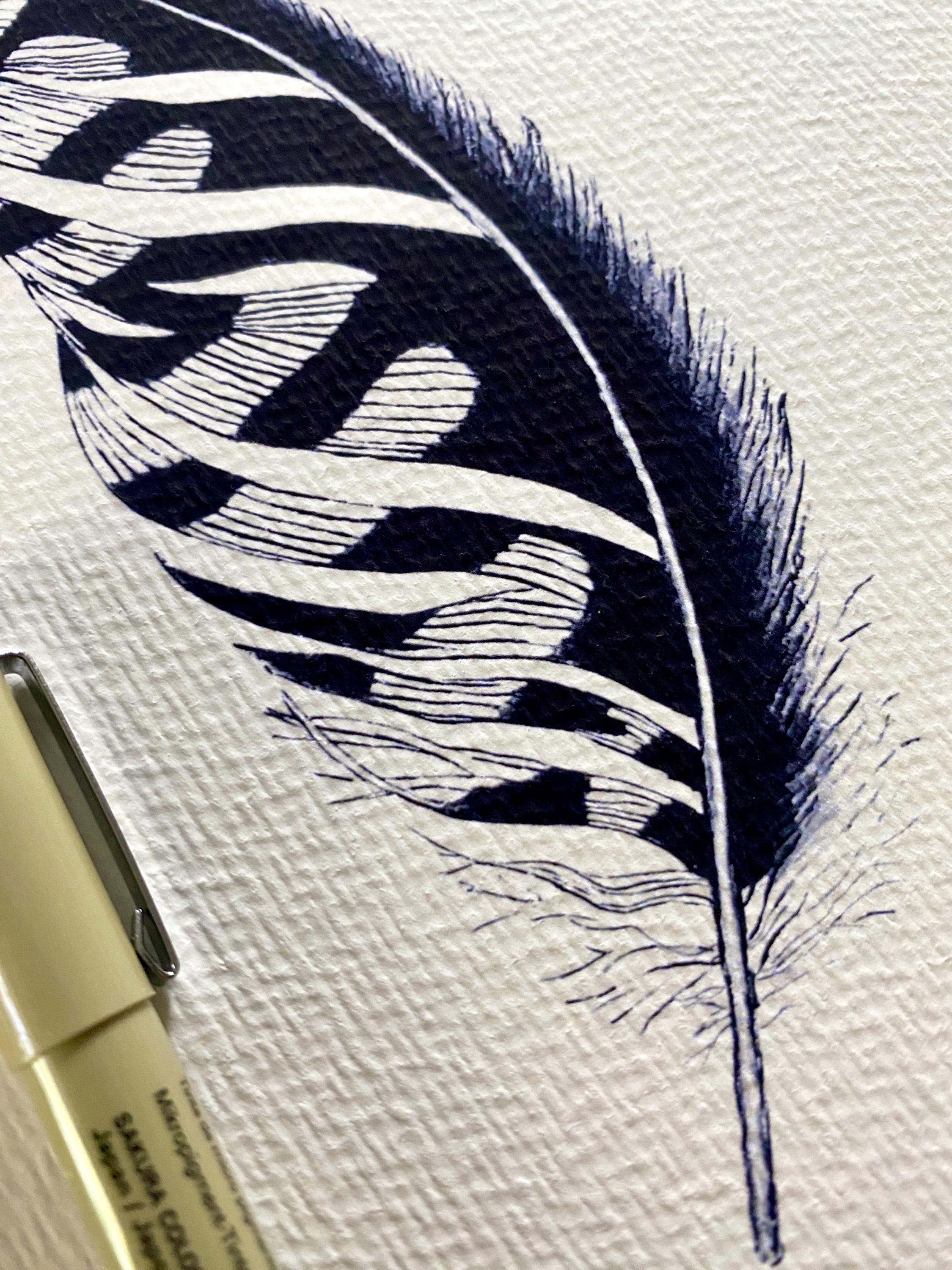Nighthawk Feather Giclée Art Print 8 X 10 Signed Unframed Printed on ...