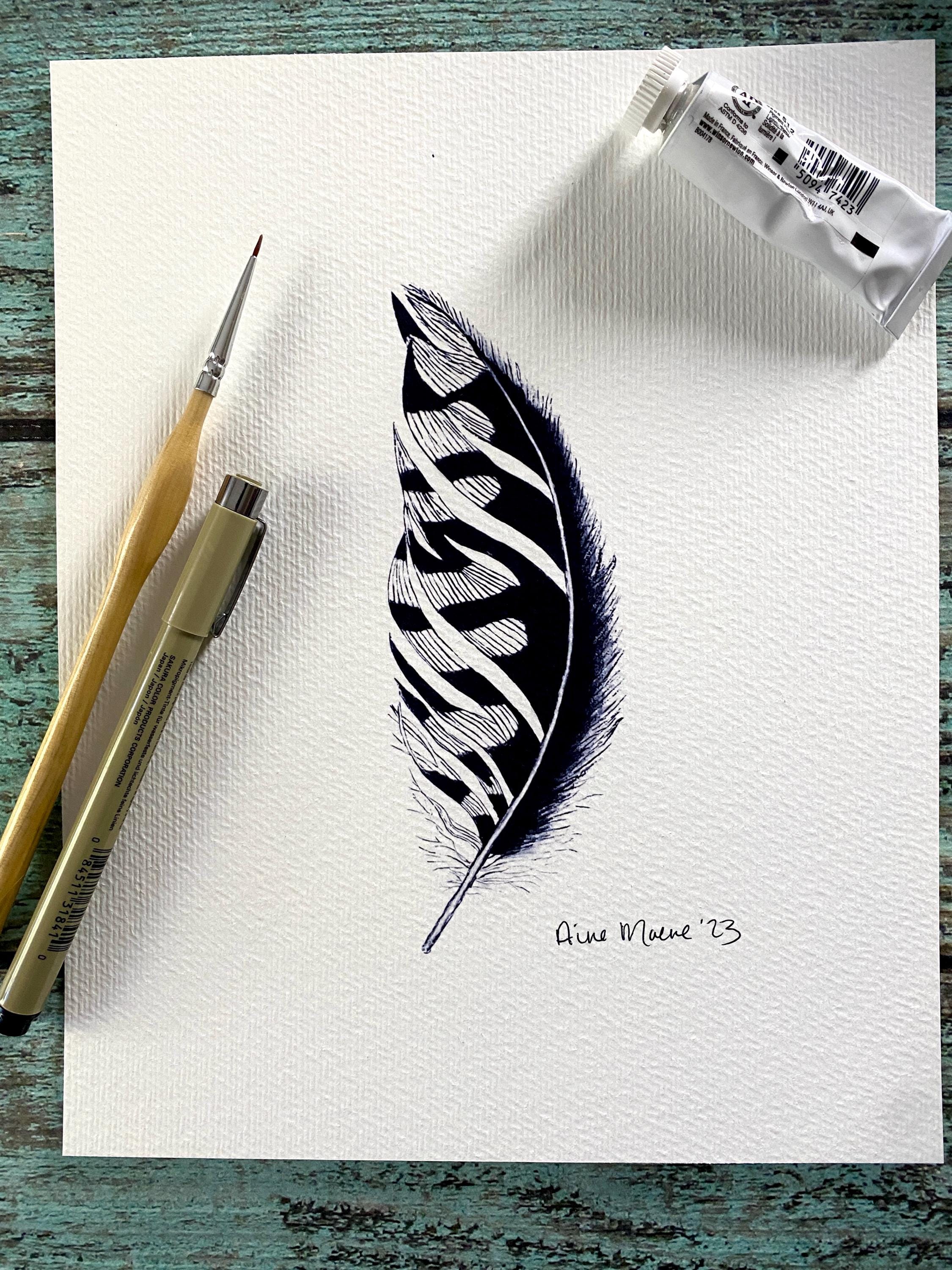 Nighthawk Feather Giclée Art Print 8 X 10 Signed Unframed Printed on ...