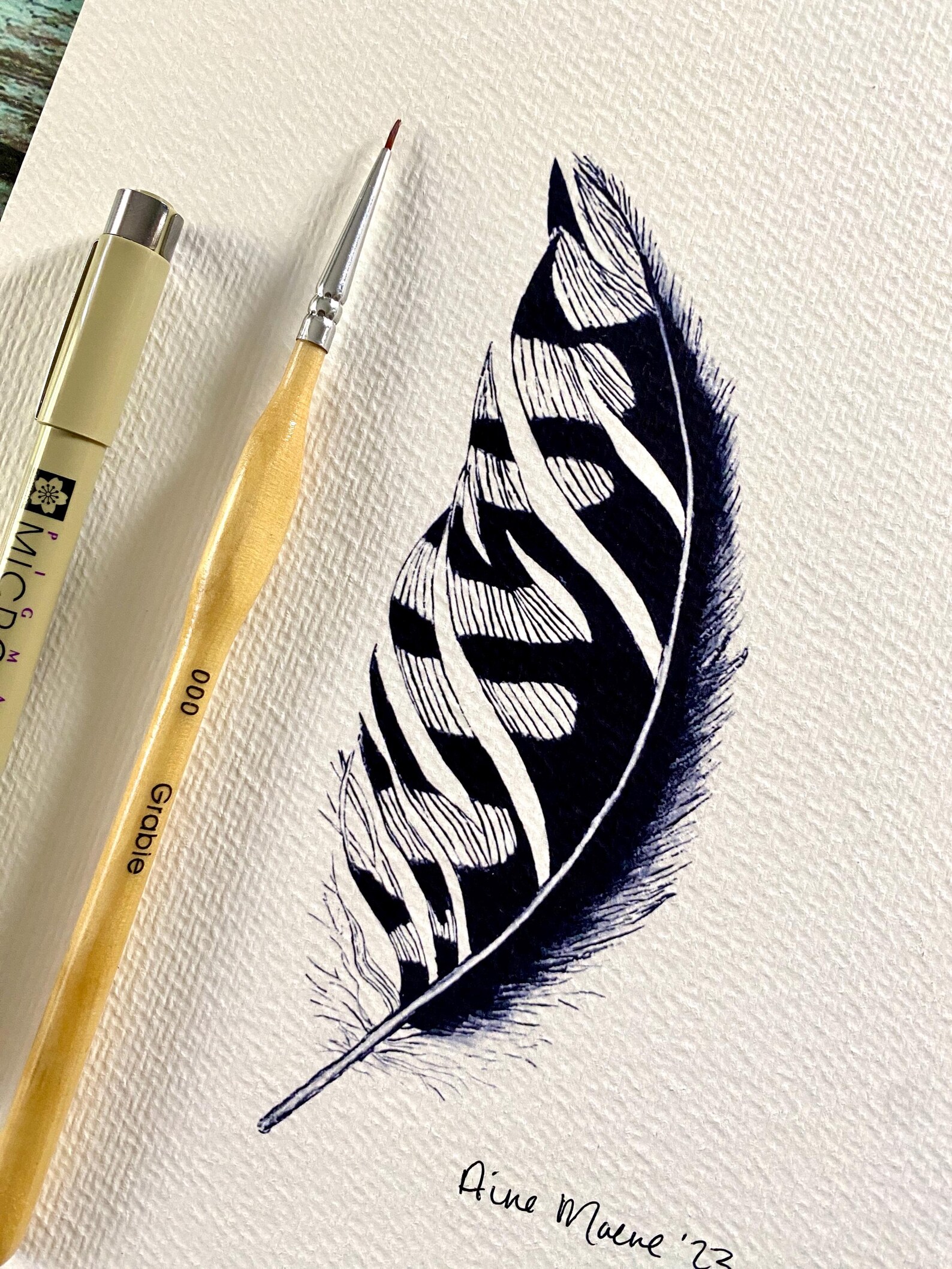 Nighthawk Feather Giclée Art Print 8 X 10 Signed Unframed Printed on ...