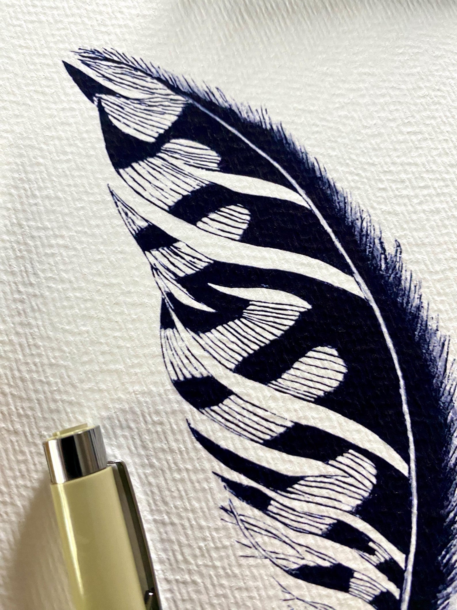 Nighthawk Feather Giclée Art Print 8 X 10 Signed Unframed Printed on ...