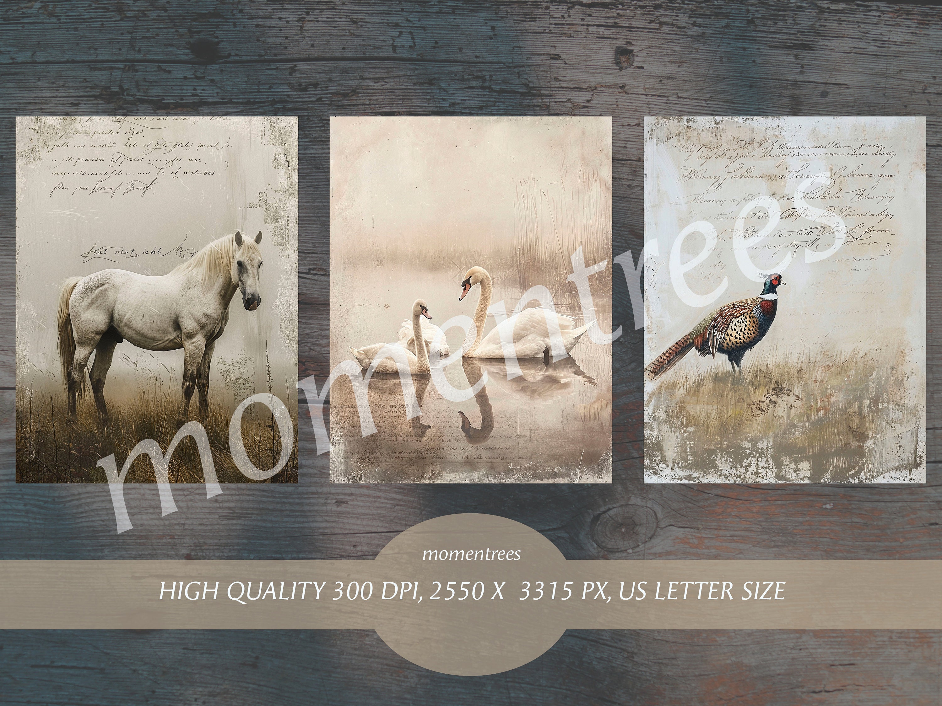 Farm Life Digital Paper: Country Scrapbook Pages (digital Download) - Etsy