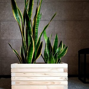 Simple Plant Pot for Floor, Wooden Flower Container in Boho Style ...