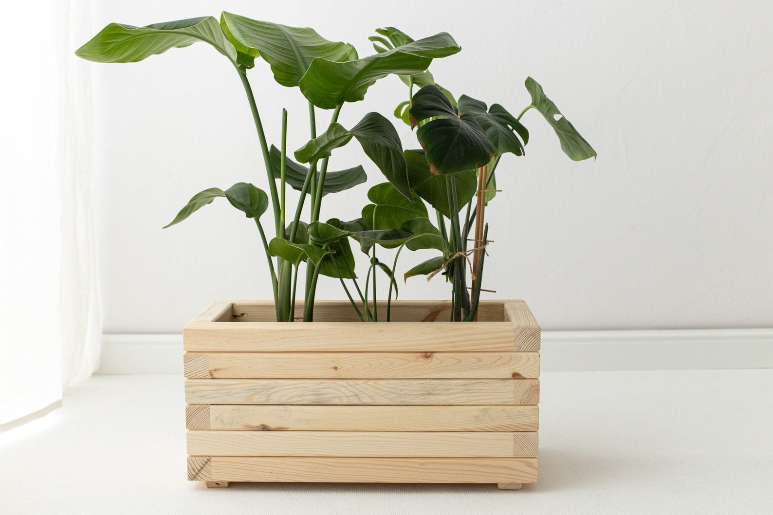 Simple Plant Pot for Floor, Wooden Flower Container in Boho Style ...