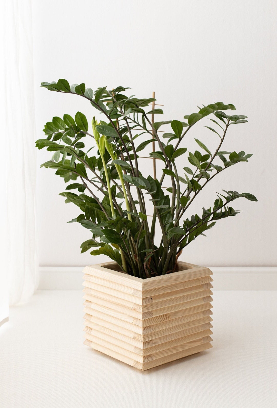 Natural Indoor Wooden Planter, Terrace Flowerpot in Minimal Design 3D ...