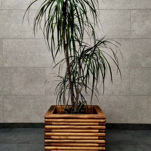 Modern Indoor Wooden Planter, Terrace Flowerpot in Minimal Design 3D ...
