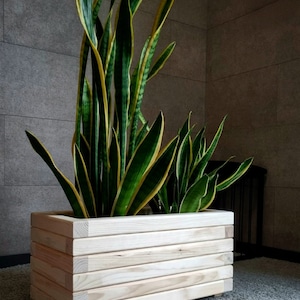 Simple Plant Pot for Floor, Wooden Flower Container in Boho Style ...
