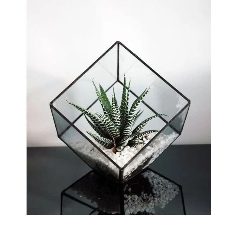 Terrarium Containers - Etsy