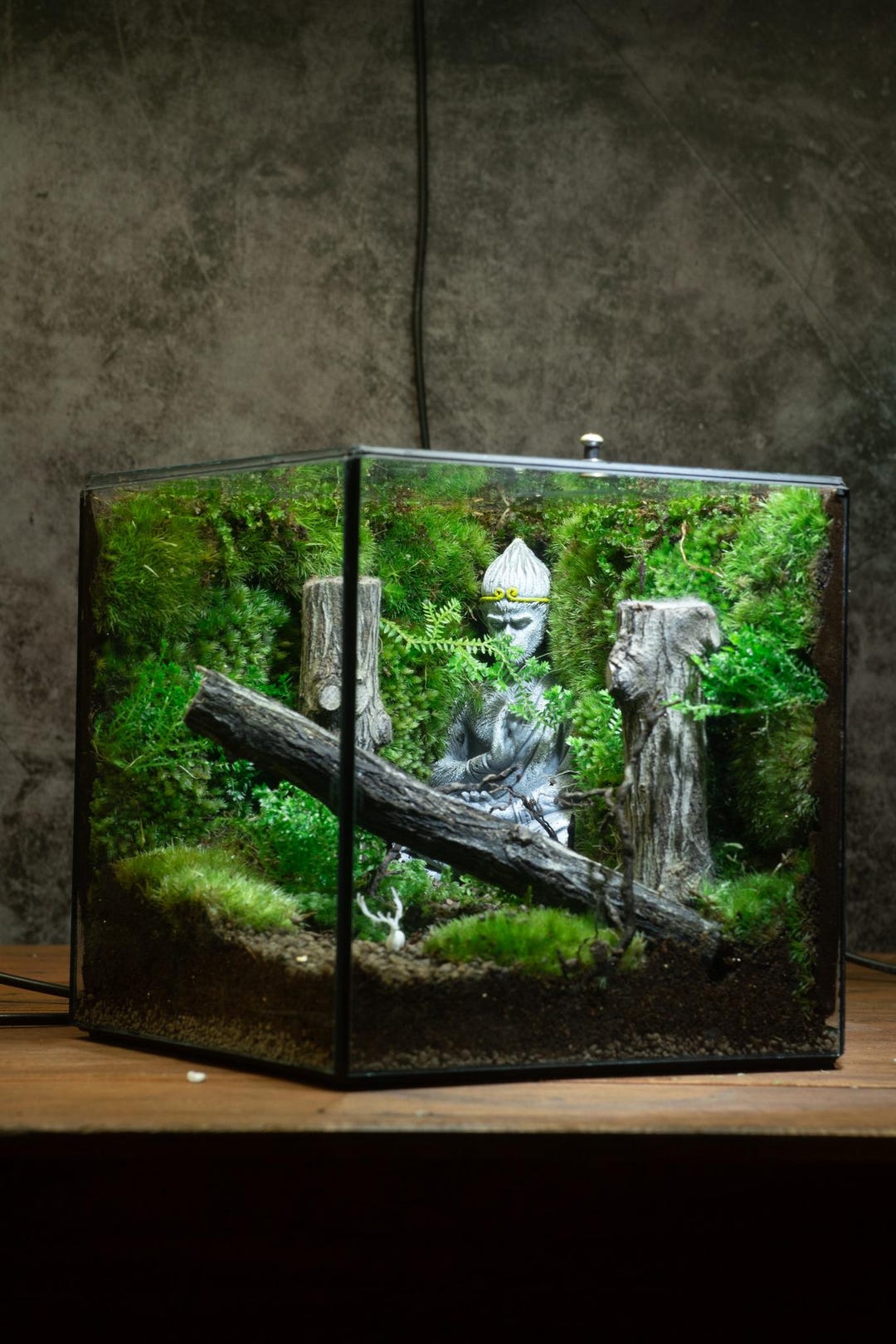 Digital Drawing for Printing! Stained Glass Terrarium. Project 53 - Etsy