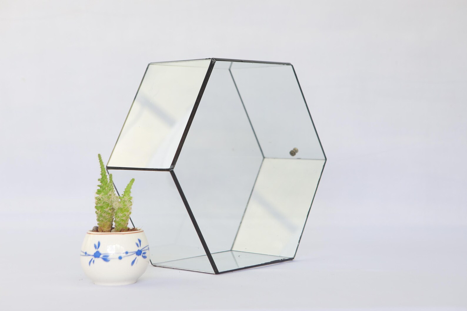 Digital Drawing for Printing! Stained Glass Terrarium. Project 206 - Etsy