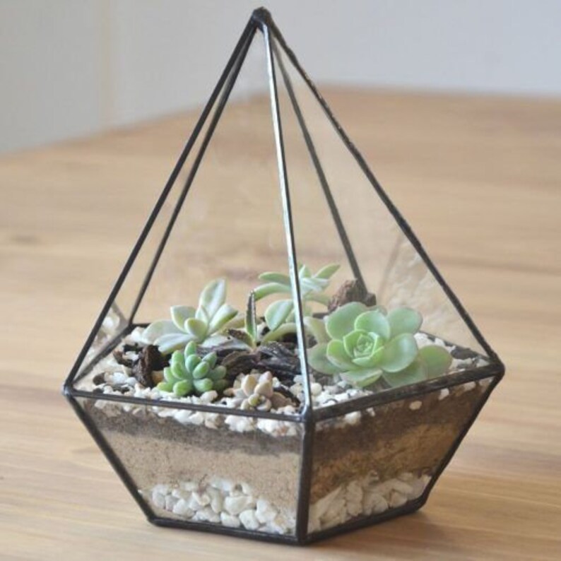 Digital Drawing for Printing Stained Glass Terrarium. Project - Etsy