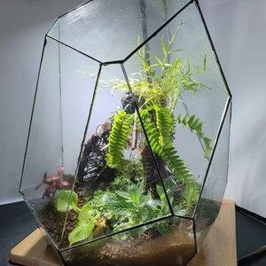 Digital Drawing for Printing! Stained Glass Terrarium. Project 25 - Etsy