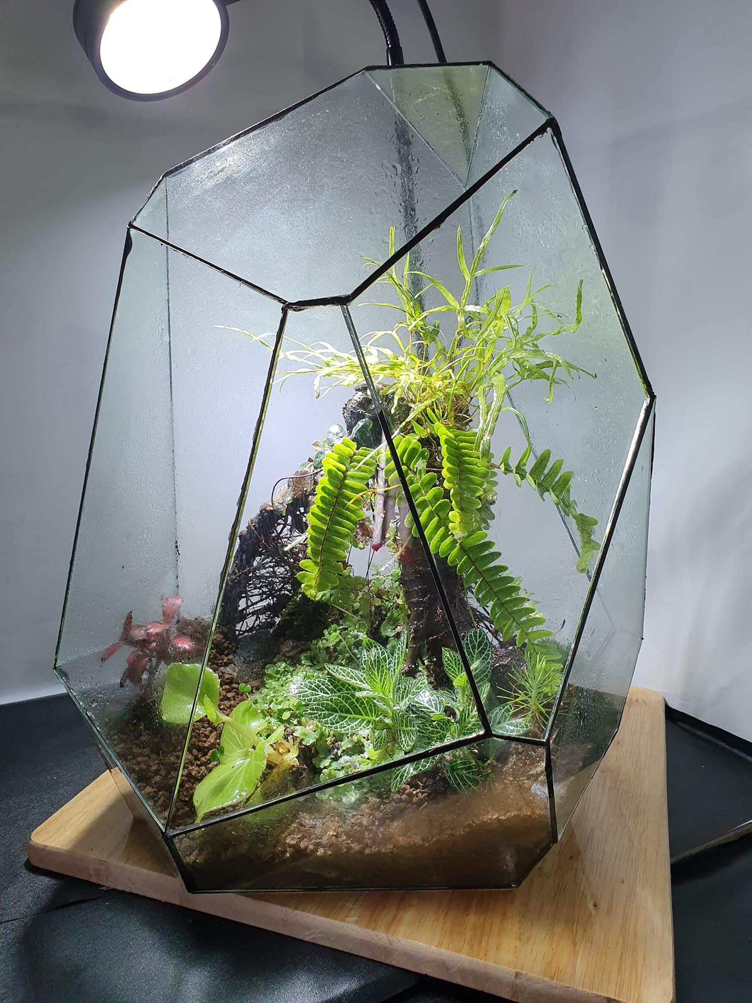 Digital Drawing for Printing! Stained Glass Terrarium. Project 25 - Etsy